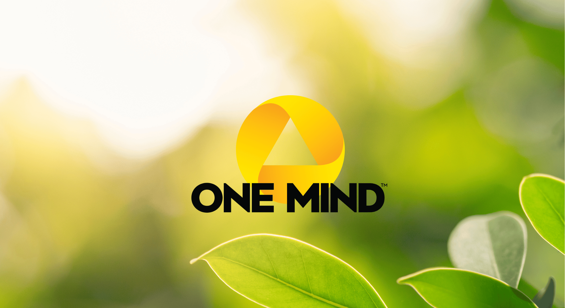 Insights From One Mind Accelerator (OMA), A Leading Launchpad For ...